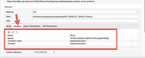 SAP OData Connectivity | SAP API-led Connectivity Workshop